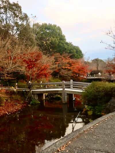 Nagoya: Nagashima Outlet Mall & Nabana no Sato Park Trip - Who This Tour Is Best For