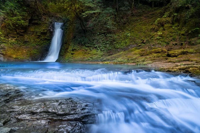 Nagoya: Soni Highlands & Akame 48 Waterfalls Guided Hike - An In-Depth Look at the Itinerary