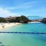 Naha: Guided Walking Tour with Street Food Tastings - What the Tour Includes & Excludes