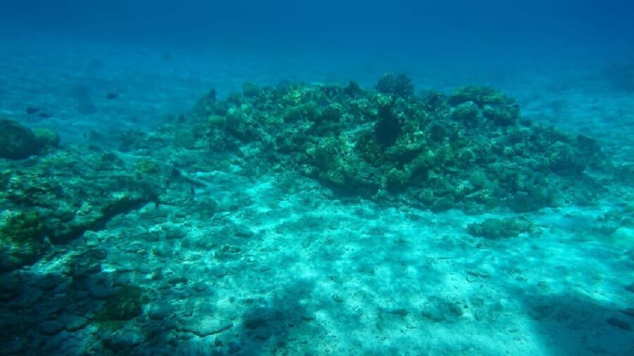 Naha: Tokashiki Day Trip & Kerama Islands Scuba Diving Trip - A Practical Overview of the Tour Experience
