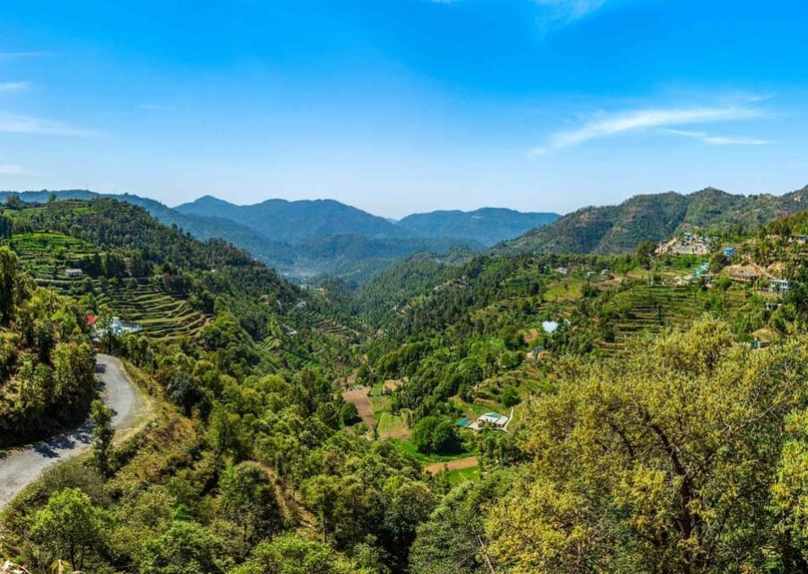 Nainital Nature Trekking Experience (4 Hours Experience) - The Itinerary in Detail