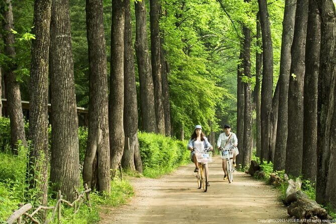 Nami Island and Petite France Private Tour - The Value Aspect: Is It Worth It?