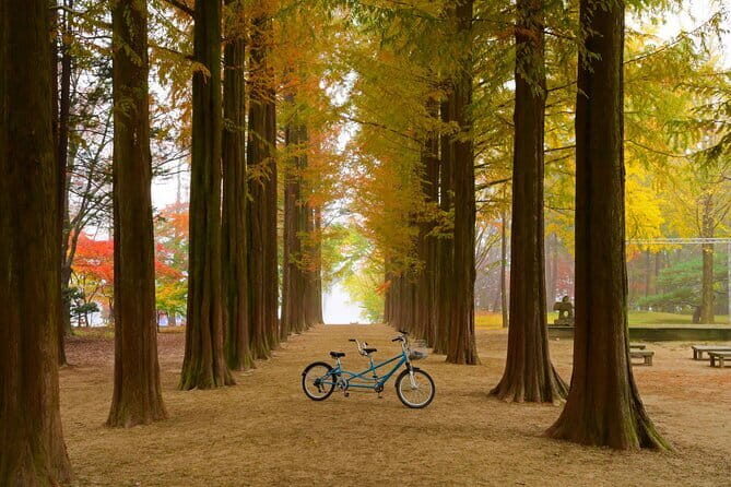 Nami Island and Rail Bike Day Trip from Seoul - The Sum Up: Who Will Love This Experience?