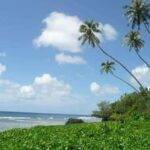 Namua Turtle Island and Eastern Upolu Tour - Who Should Consider This Tour?