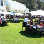 Napier Afternoon Winery, & Gin Tasting ( no gin Mon -Wed ) - What to Expect: Day-to-Day Breakdown