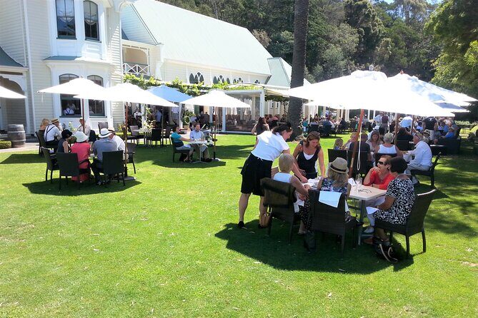 Napier Afternoon Winery, & Gin Tasting ( no gin Mon -Wed ) - What to Expect: Day-to-Day Breakdown