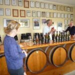 Napier: Afternoon Winery & Gin Tasting Tour - How This Tour Compares and Who It’s For
