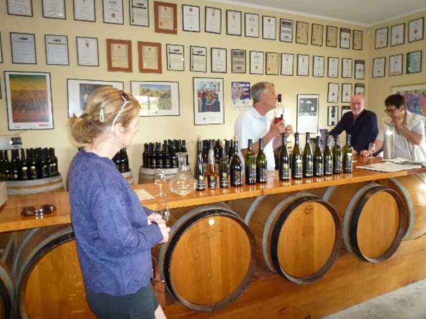 Napier: Afternoon Winery & Gin Tasting Tour - How This Tour Compares and Who It’s For