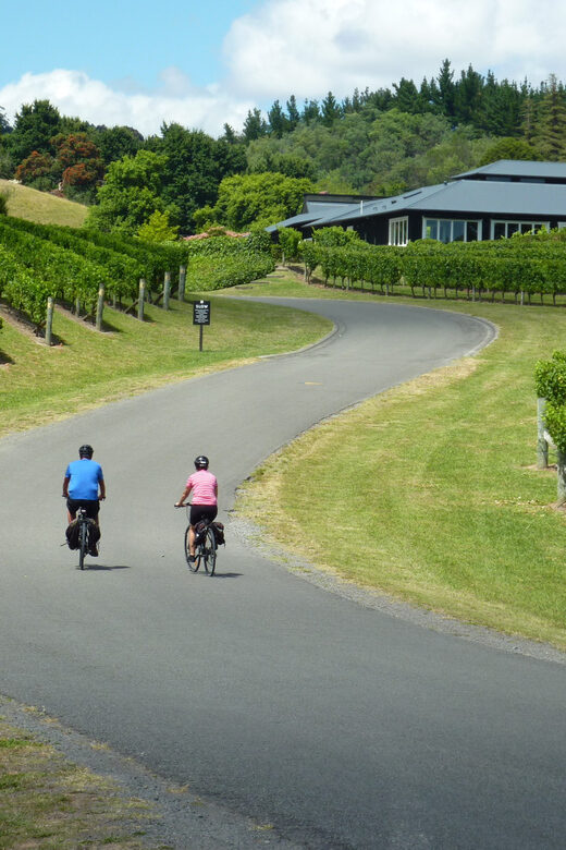 Napier: Cape Coast Winery Tour on Pedal or E-Bikes - Who Will Love This Tour?
