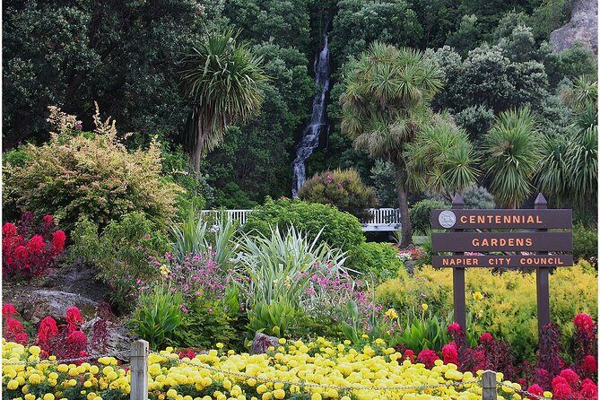 Napier City with 2 Premium Wineries Tour - Itinerary Breakdown: What You’ll Actually See and Do