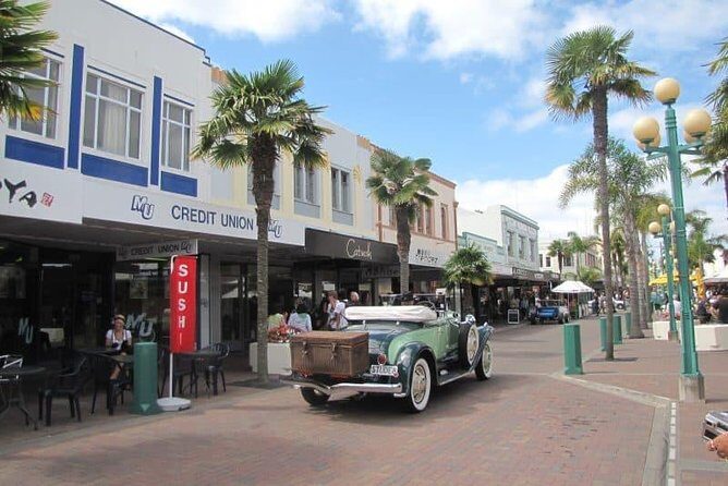 Napier Shore Excursion: Wine, Beer & Art Deco Tour - The Practicalities