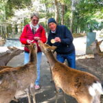 Nara: 3-Hour Guided Tour with Deer, Great Buddha & Shrines - The Itinerary: What You’ll See and Do