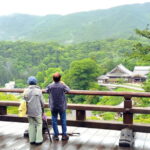 Nara: Explore Hasederas Giant Kannon and Cliffside Temple - The Heart of the Experience: What to Expect