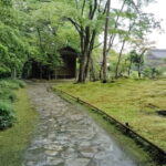 Nara: Isuien Garden Tour with Matcha Tea Experience - Who Will Enjoy This Tour?