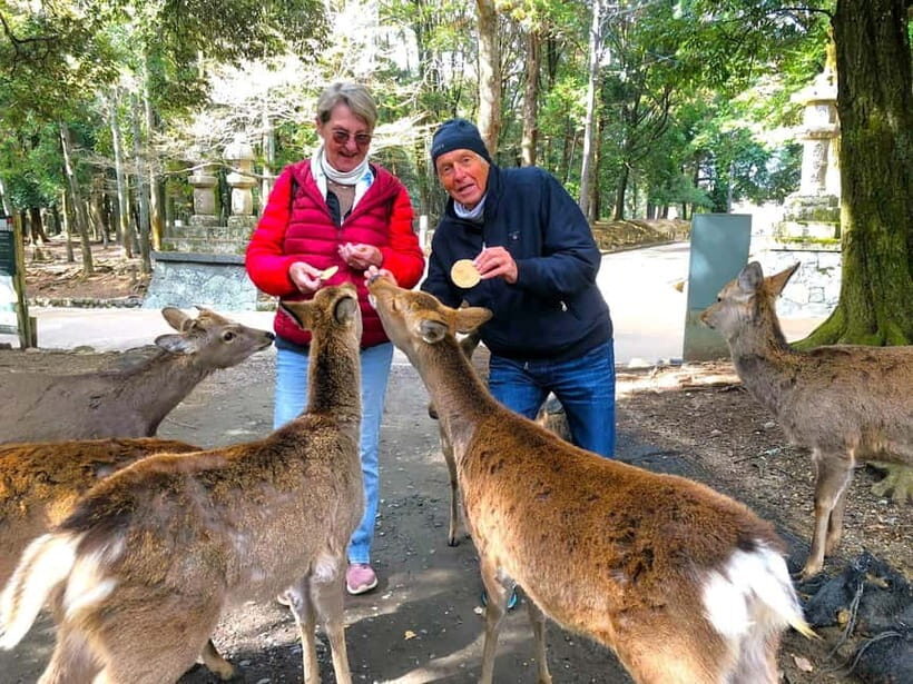 Nara: Kasuga Taisha, Sacred Deer Shrine Guided Tour - The Architecture and Spiritual Significance