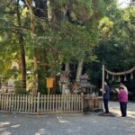 Nara: Private Tour of Japan's Oldest Shrine, Omiwa Shrine - What’s Unique About the Tour?
