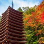 Nara: Private Tour with Private Guide - Deep Dive: What Youll Experience