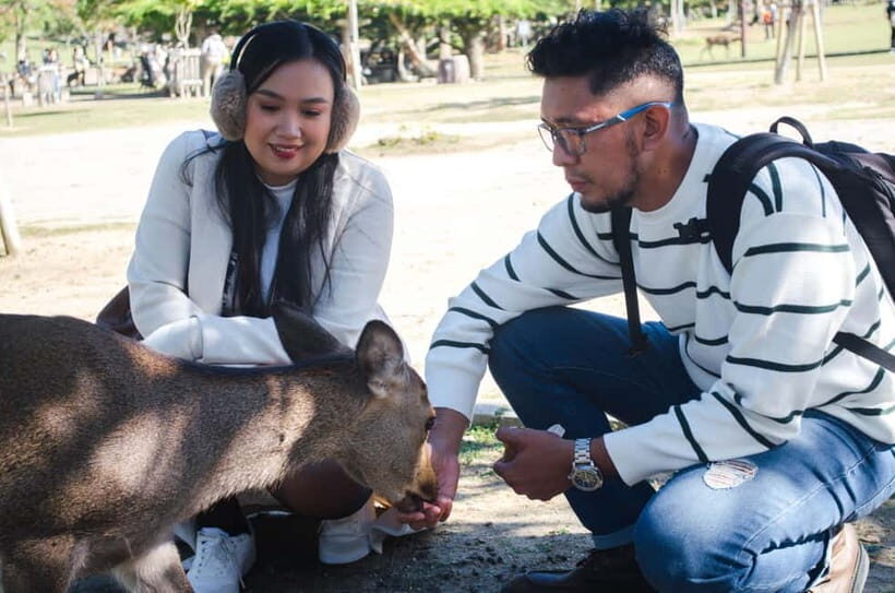 Nara: Private Walking Tour from Osaka - Final Thoughts: Is This Tour Worth It?