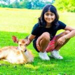 Nara: private walking tour with Deer and Temples - Who Will Love This Tour?