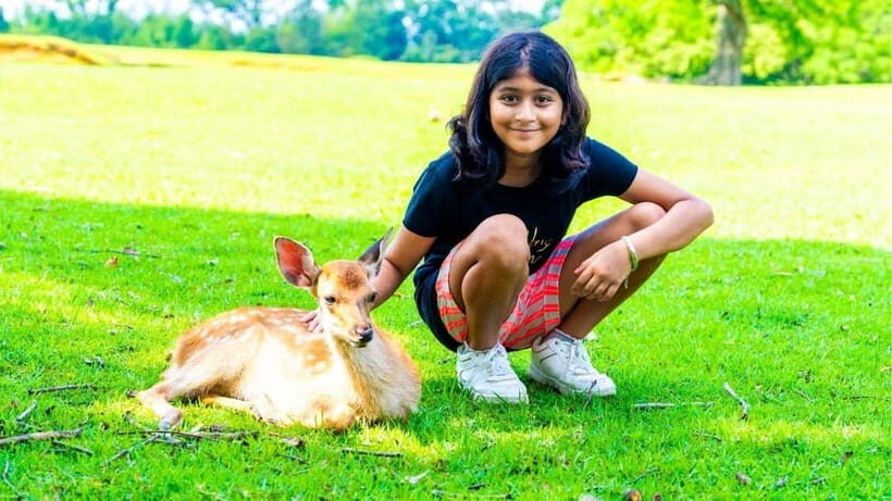 Nara: private walking tour with Deer and Temples - Who Will Love This Tour?
