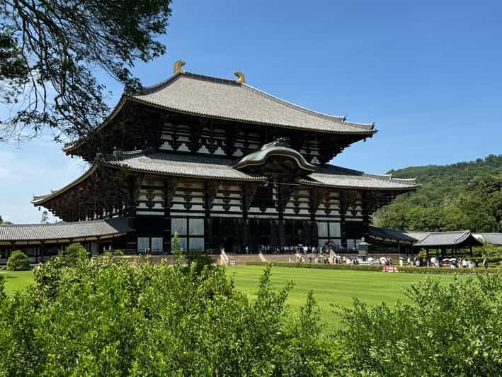 Nara: Todai-jis Great Buddha & All Its Treasures in 2 Hours - What to Expect on the Tour