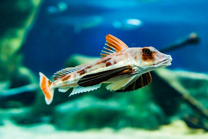 National Aquarium of New Zealand in Napier Native Icons Tour - FAQ