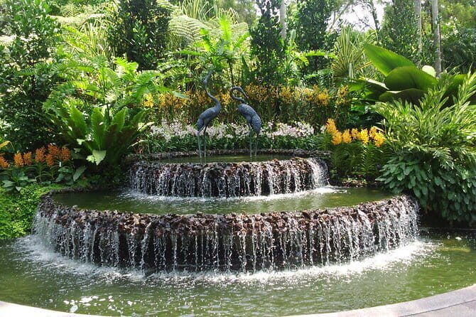 National Orchid Garden Entry Admission Pass - What You Can Expect During Your Visit