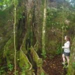 National Park Lava Cliffs and Black Sand Beach - Who Will Love This Tour?