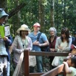 Natural Bridge Glow Worm Night Tour from Gold Coast - The Realities of the Experience