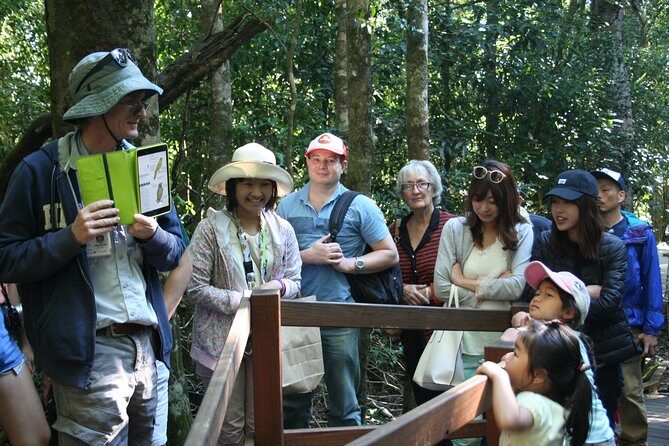Natural Bridge Glow Worm Night Tour from Gold Coast - The Realities of the Experience