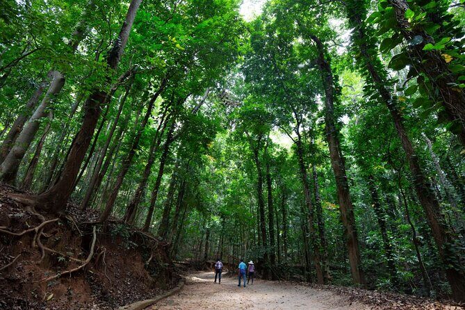 Nature Tour to Udawatte Kele Sanctuary, Kandy from Bentota - The Practical Side: Transportation, Cost, and Group Size