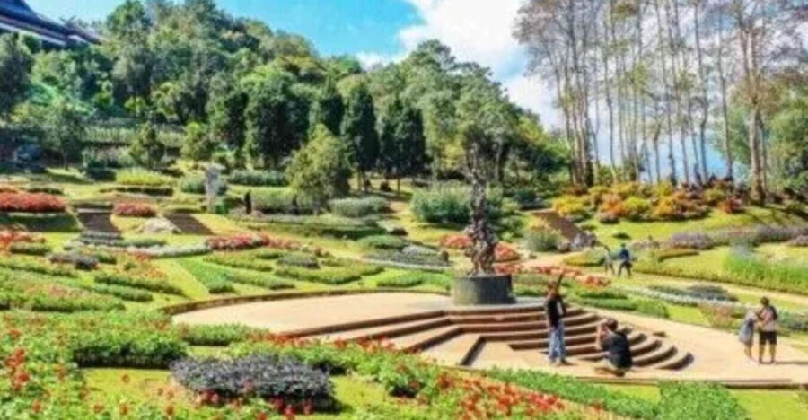Nature Walk of Chandigarh( 2 Hours Walking Tour) - What to Expect During the Walk