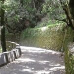Nature Walk of Mussoorie (2 Hours Guided Walking Tour) - A Deep Dive into the Mussoorie Nature Walk Experience