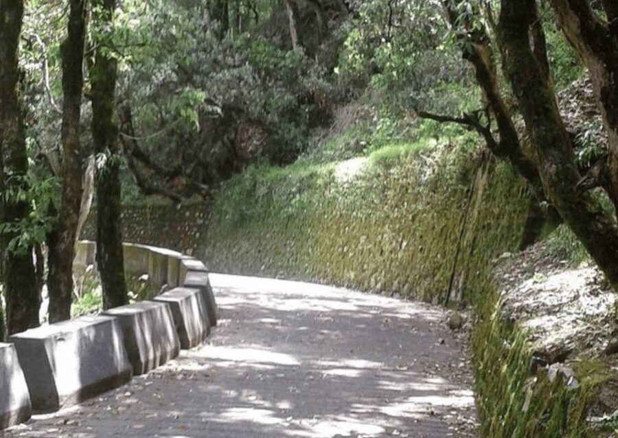 Nature Walk of Mussoorie (2 Hours Guided Walking Tour) - A Deep Dive into the Mussoorie Nature Walk Experience