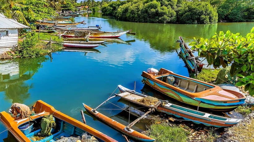 Negombo: Airport Layover City Tour with Pickup and Drop-Off - What Makes This Tour Stand Out