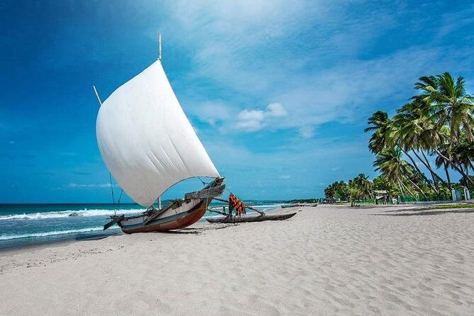 Negombo City And Fishing Village Private Day Tour From Colombo - The Practicalities