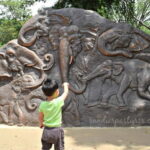 Negombo: Kandy and Pinnawala Elephant Orphanage Day Tour - Whats Included and What’s Not