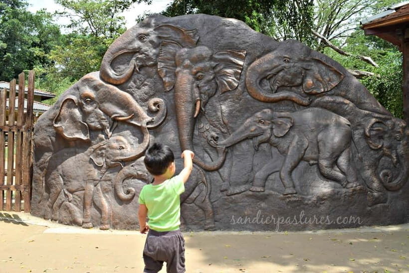 Negombo: Kandy and Pinnawala Elephant Orphanage Day Tour - Whats Included and What’s Not