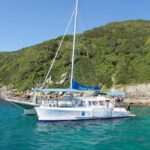 Nelson Bay: Marine Discovery Cruise with Snorkeling - Practical Details and What to Expect