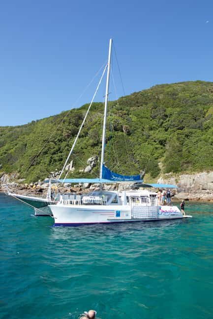 Nelson Bay: Marine Discovery Cruise with Snorkeling - Practical Details and What to Expect