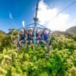 Nelson: Cable Bay Adventure Park Skywire Experience - Pricing and Value