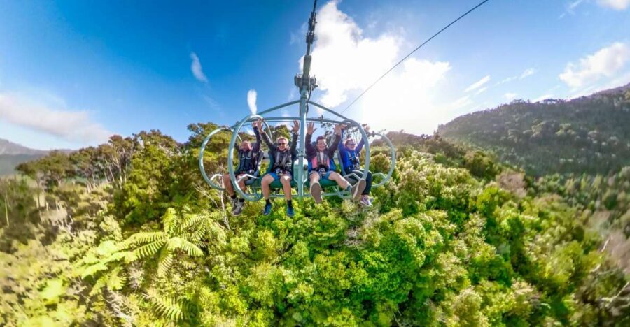 Nelson: Cable Bay Adventure Park Skywire Experience - Pricing and Value