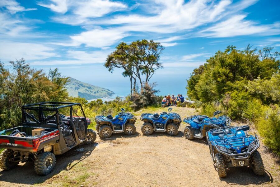 Nelson: Guided Quad Biking Tour Through Forest and Farmland - What to Expect from the Itinerary