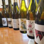 Nelson: Marlborough Wine Tour with Tastings and Lunch - The Practicalities: What’s Included and What Isn’t