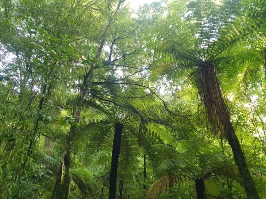 Nelson: Nelson Lakes National Park Day Trip with Lunch - Practical Details and Tips