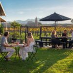 Nelson: Wine and Art Tour with Tastings and Lunch - The Sum Up