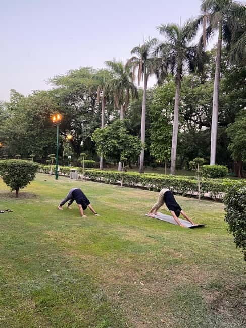New Delhi: Soul Soothening Sun Yoga in Lodhi Gardens - The Itinerary in Detail