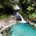 New Zealand: 9-Day Private Tour with 14-16 Activities - Transportation and Comfort