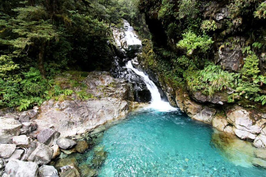 New Zealand: 9-Day Private Tour with 14-16 Activities - Transportation and Comfort