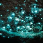 New Zealand: Milky Way Glowworm Cave Tour - The Sum Up